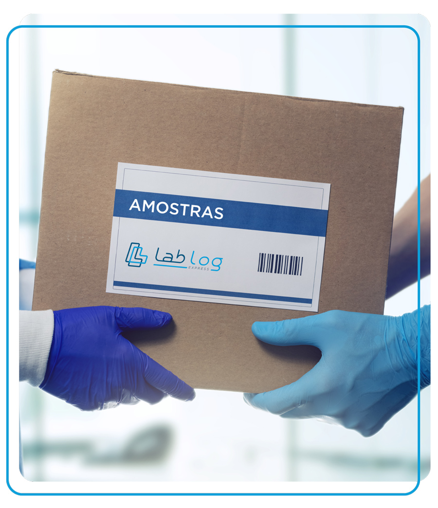 Lab Log Express – Pré-visualização da Lab Log